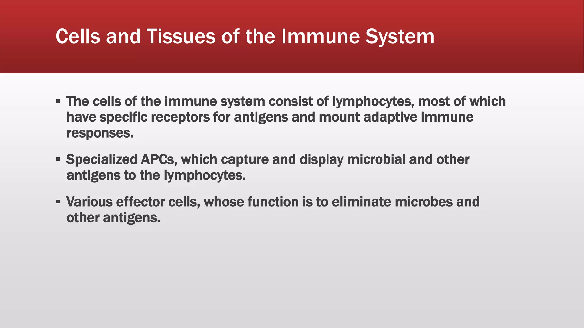 Basic Principles of the Immune System | PPTX