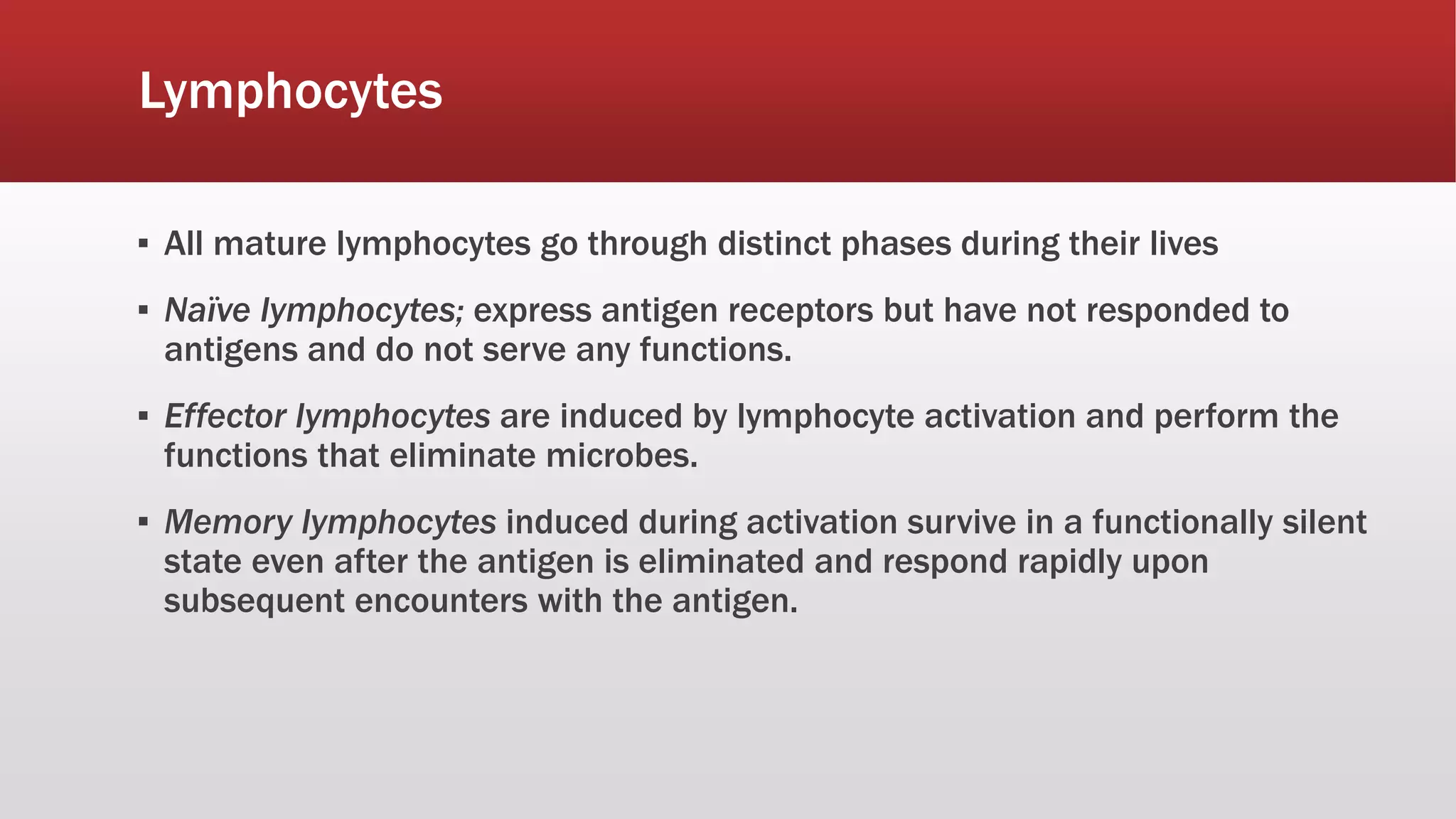 Basic Principles of the Immune System | PPTX