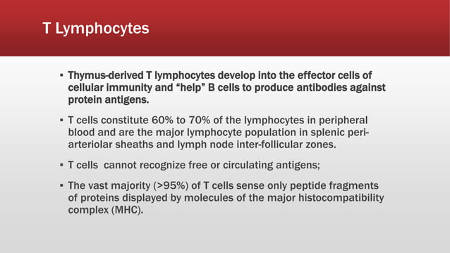 Basic Principles of the Immune System | PPTX | Infectious Diseases ...