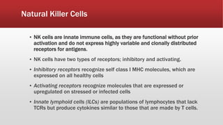 Basic Principles of the Immune System | PPTX
