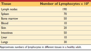 Basic Principles of the Immune System | PPTX