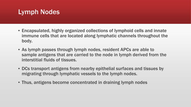Basic Principles of the Immune System | PPTX | Infectious Diseases ...