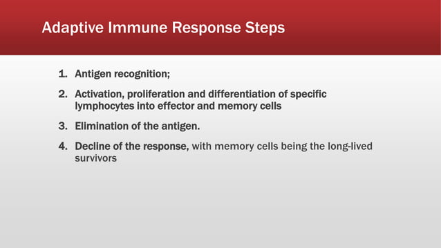 Basic Principles of the Immune System | PPT