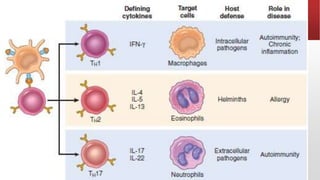 Basic Principles of the Immune System | PPTX