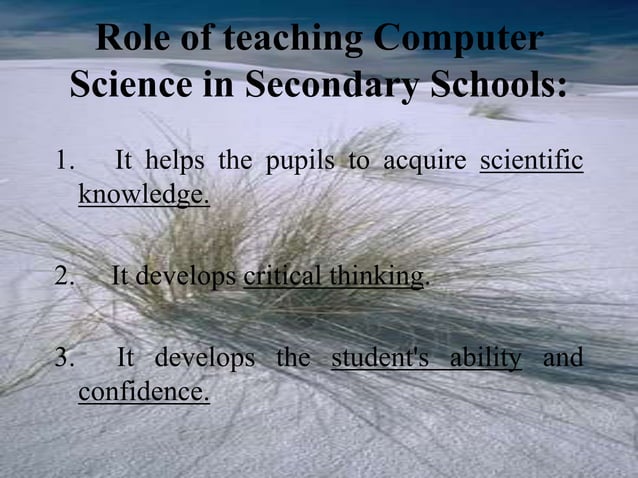 Computer science teaching at different levels | PPSX