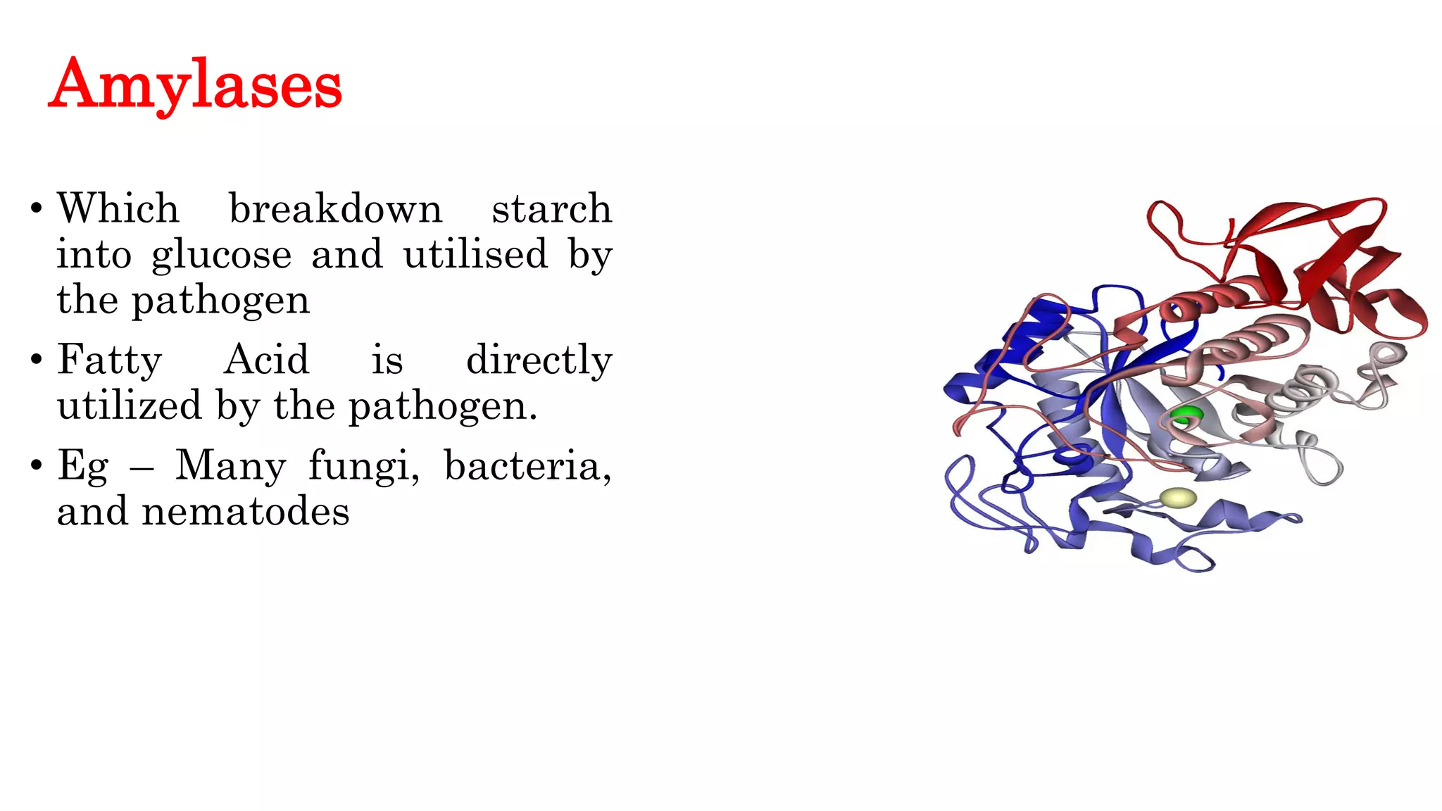 Role Of Enzymes In Pathogenesis Ppt