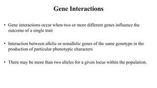 Gene interactions | PPT