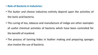 Economic importance of viruses and bacteria | PPTX