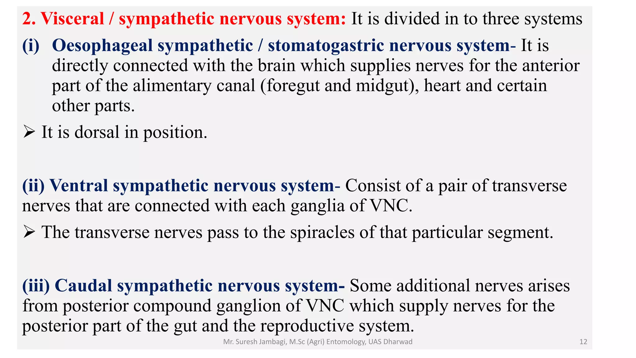 Nervous system in insects | PPTX