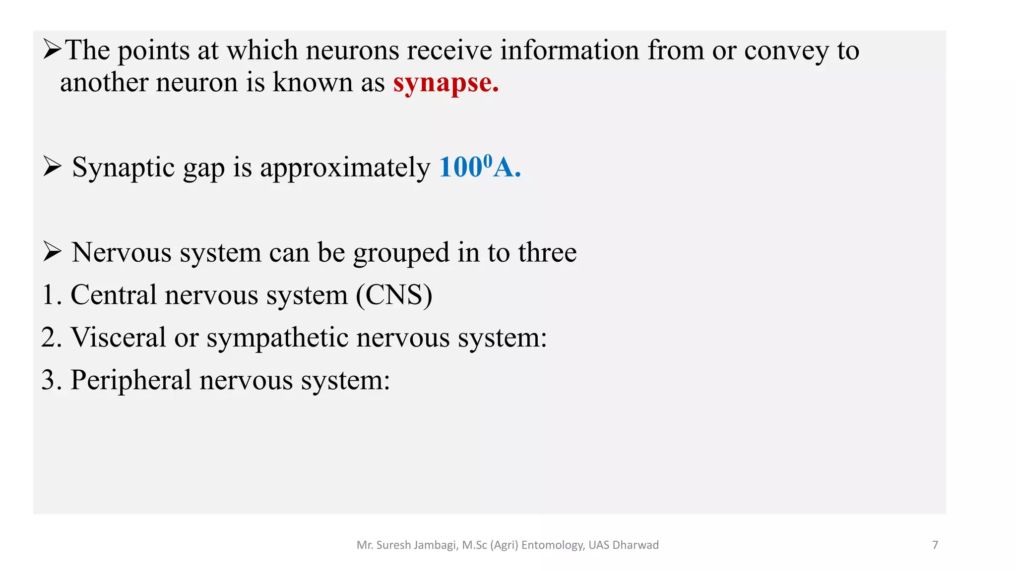 Nervous system in insects | PPTX