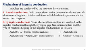 Nervous system in insects | PPTX