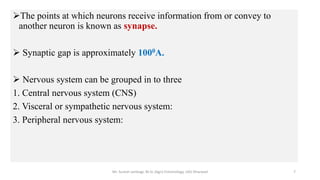Nervous system in insects | PPTX