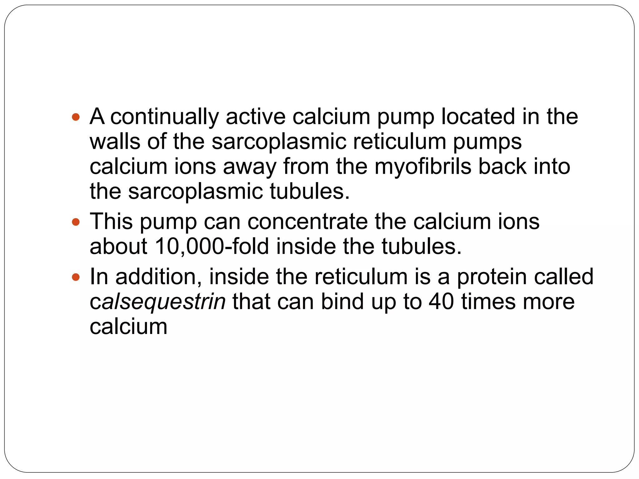 Skeletal Muscle | PPTX