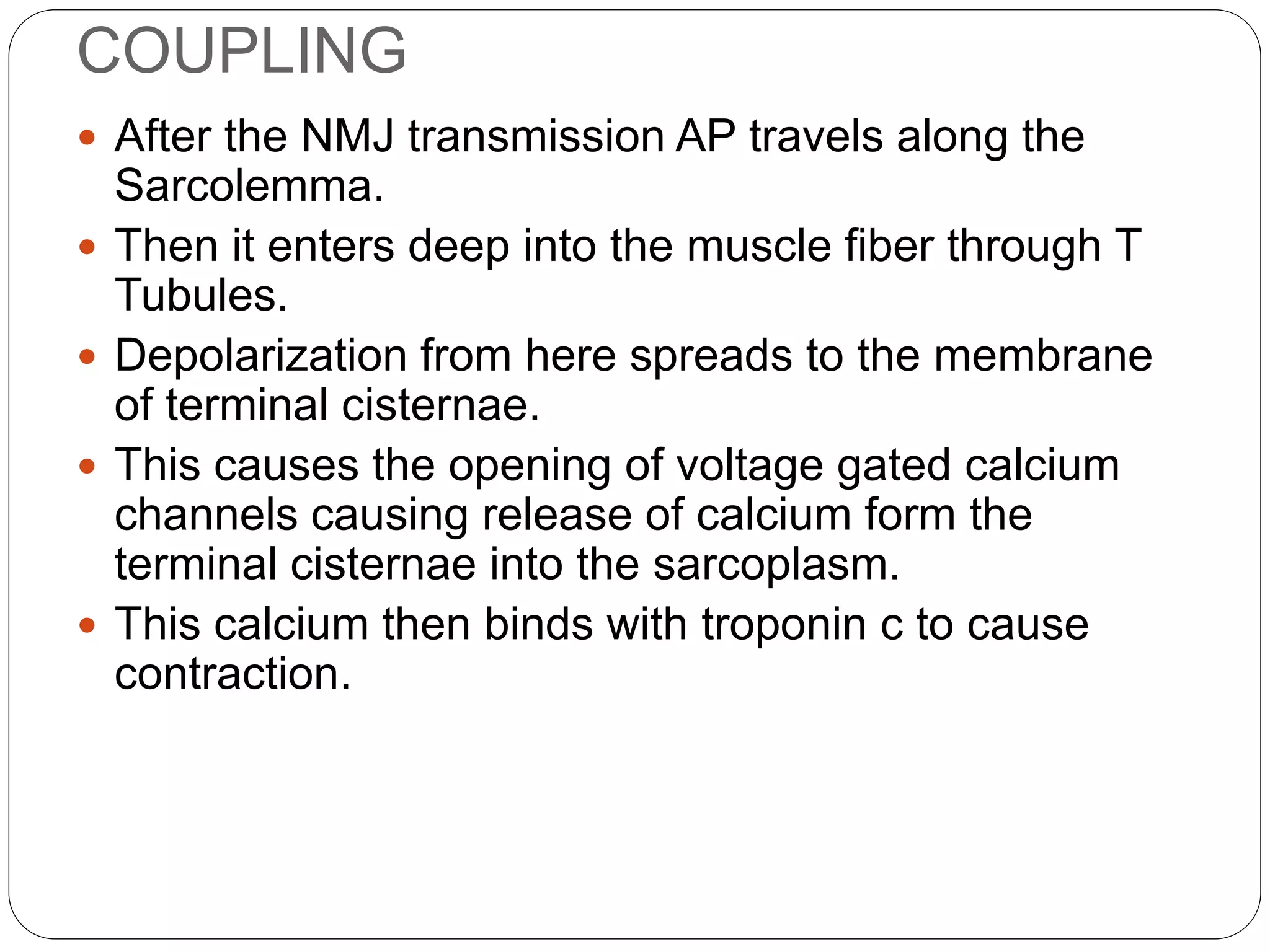 Skeletal Muscle | PPTX
