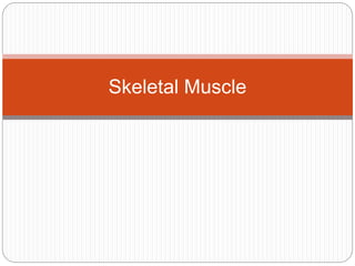 Skeletal Muscle | PPT