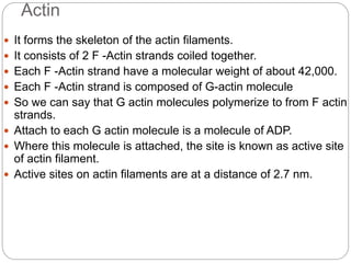 Skeletal Muscle | PPT