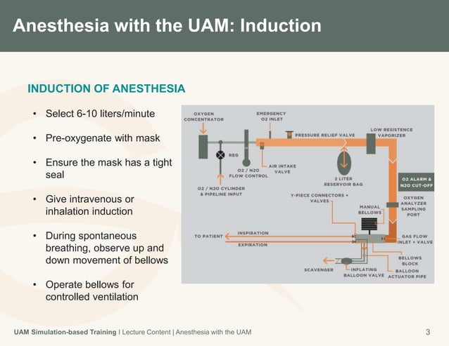 Anesthesia with the UAM | PPTX