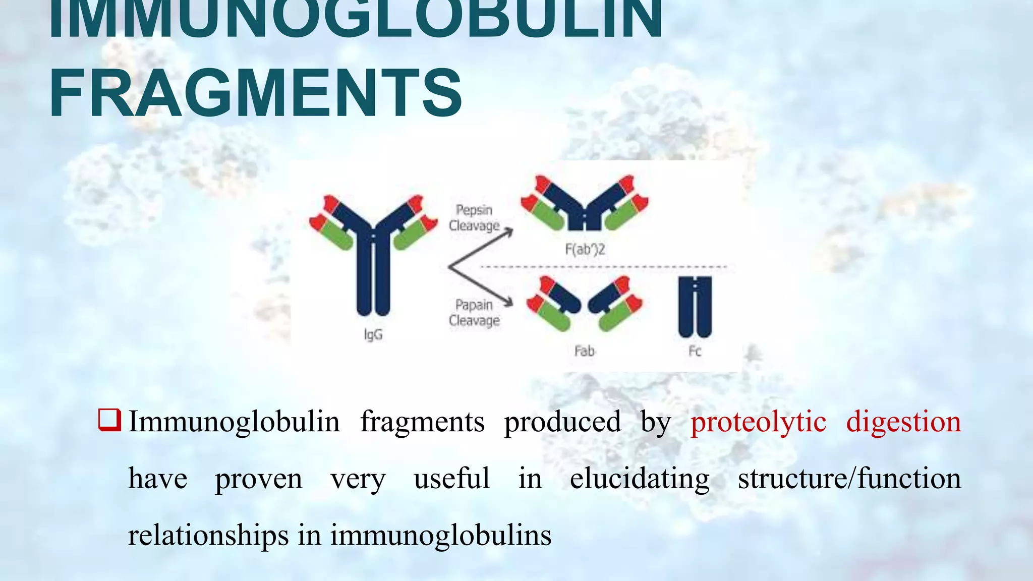 IMMUNOGLOBULINS | PPT