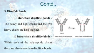 IMMUNOGLOBULINS | PPTX