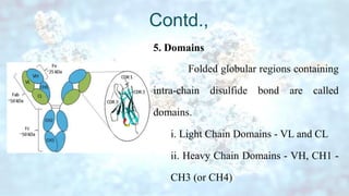 IMMUNOGLOBULINS | PPT