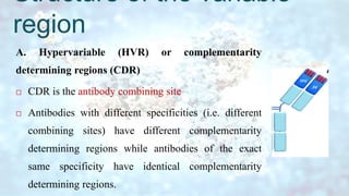 IMMUNOGLOBULINS | PPT