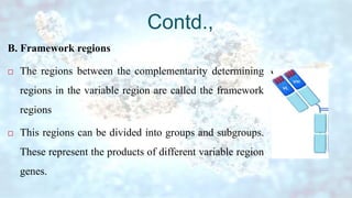 IMMUNOGLOBULINS | PPT