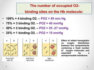 Transport of oxygen and carbon dioxide in blood | PPTX