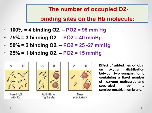 Transport of oxygen and carbon dioxide in blood | PPTX | Blood ...