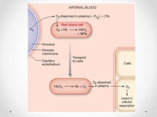 Transport of oxygen and carbon dioxide in blood | PPTX