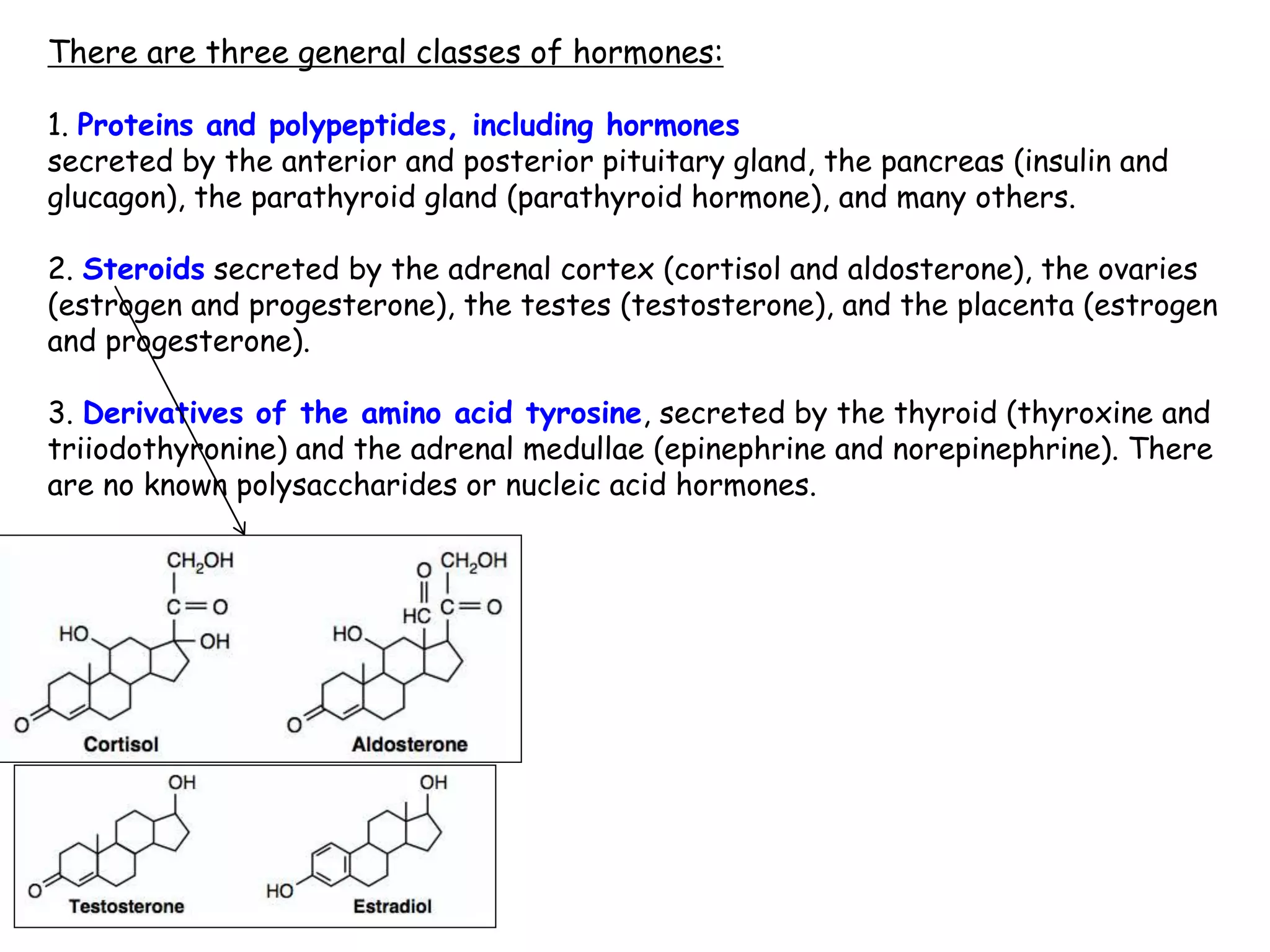 7. endocrinology and reproduction | PPT