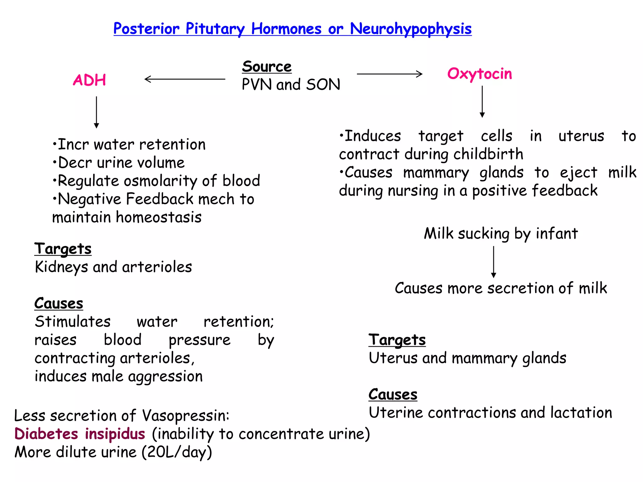 7. endocrinology and reproduction | PPT