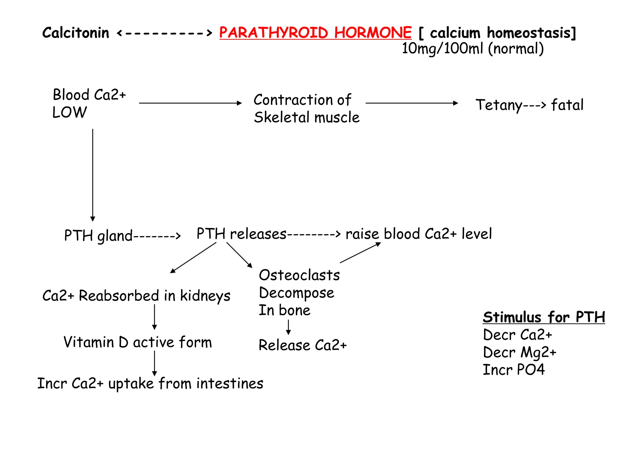 7. endocrinology and reproduction | PPT