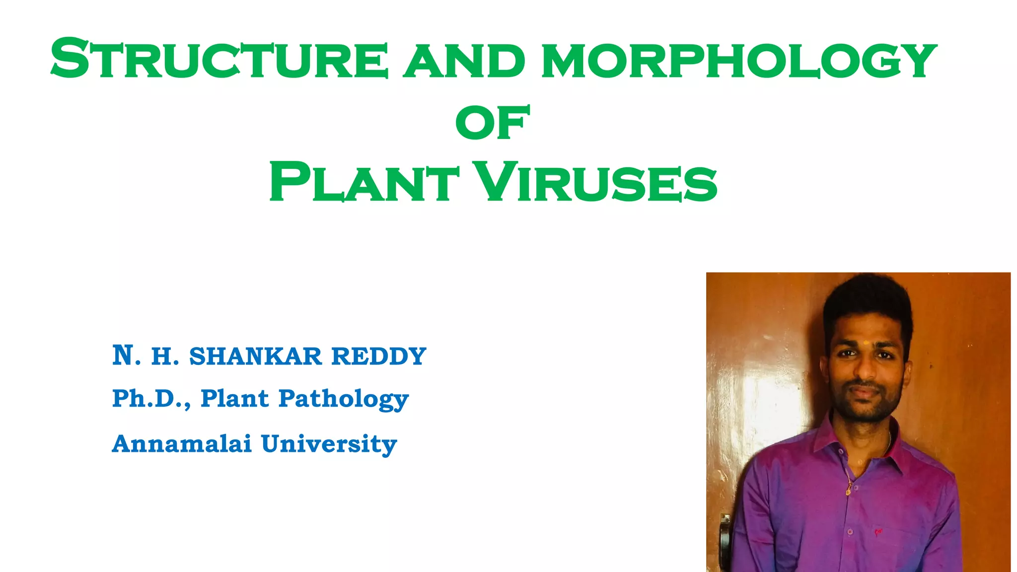 Structure and morphology of plant viruses | PDF