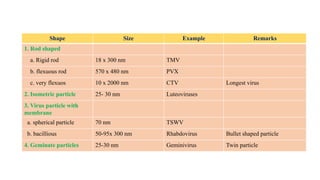 Structure and morphology of plant viruses | PDF