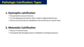 Calcification by Rohit Kumar Trivedi | PDF