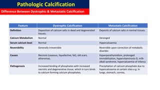 Calcification by Rohit Kumar Trivedi | PDF