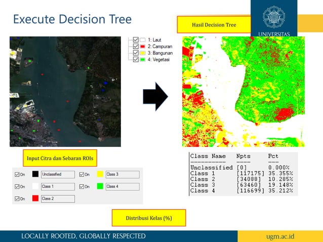Decision Tree Classification in Remote Sensing | PDF