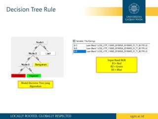 Decision Tree Classification in Remote Sensing | PDF