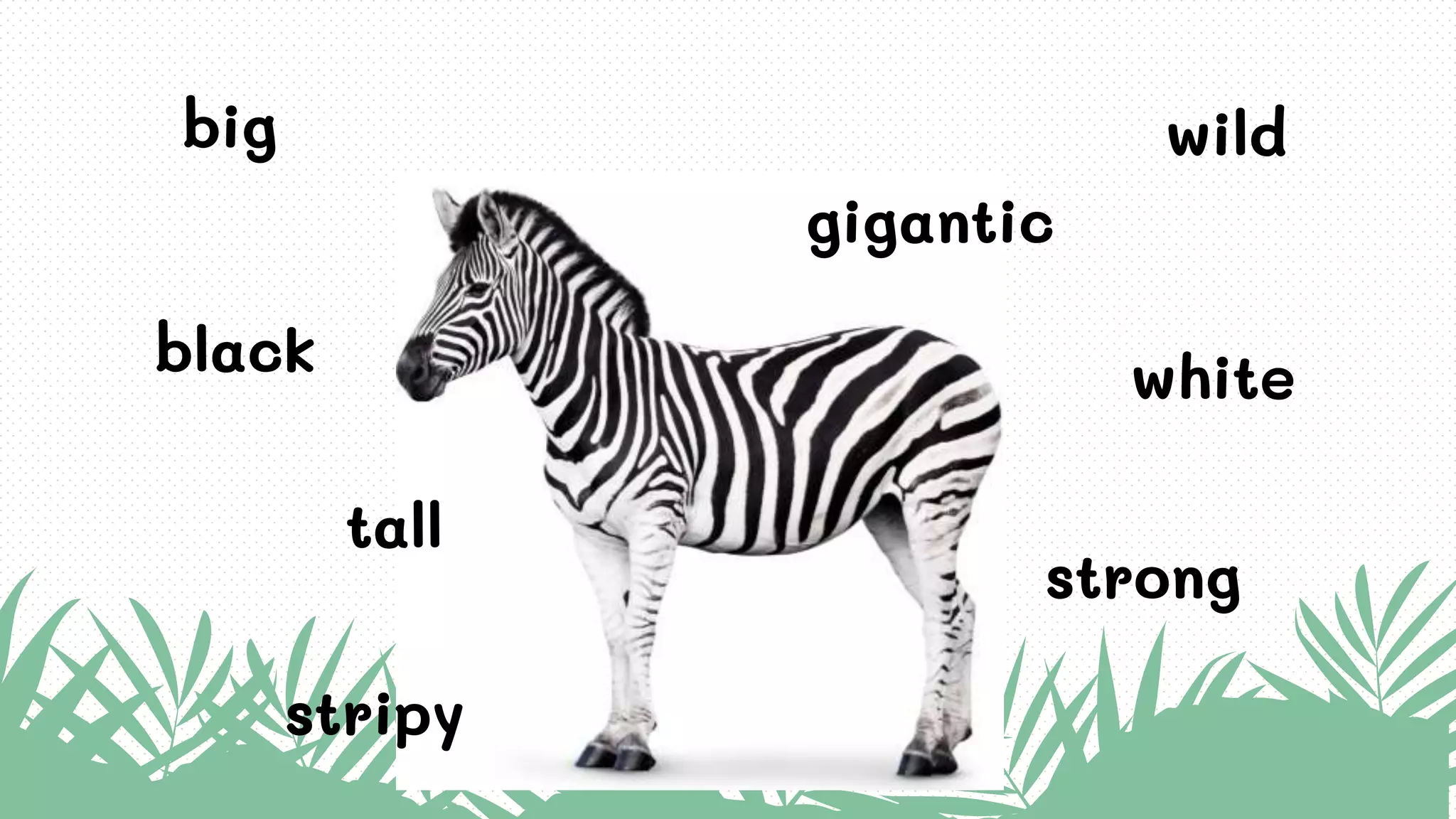 English Plus 1 Year 5 │Unit 3 │ Page 35 │ Wild Life │ Grammar ...