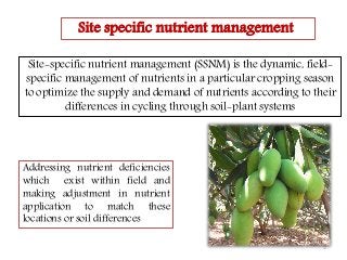 Site specific nutrient management (SSNM) system | PDF