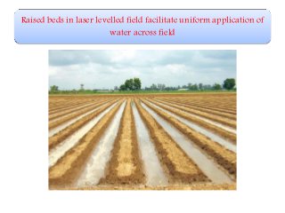 Site specific nutrient management (SSNM) system | PDF