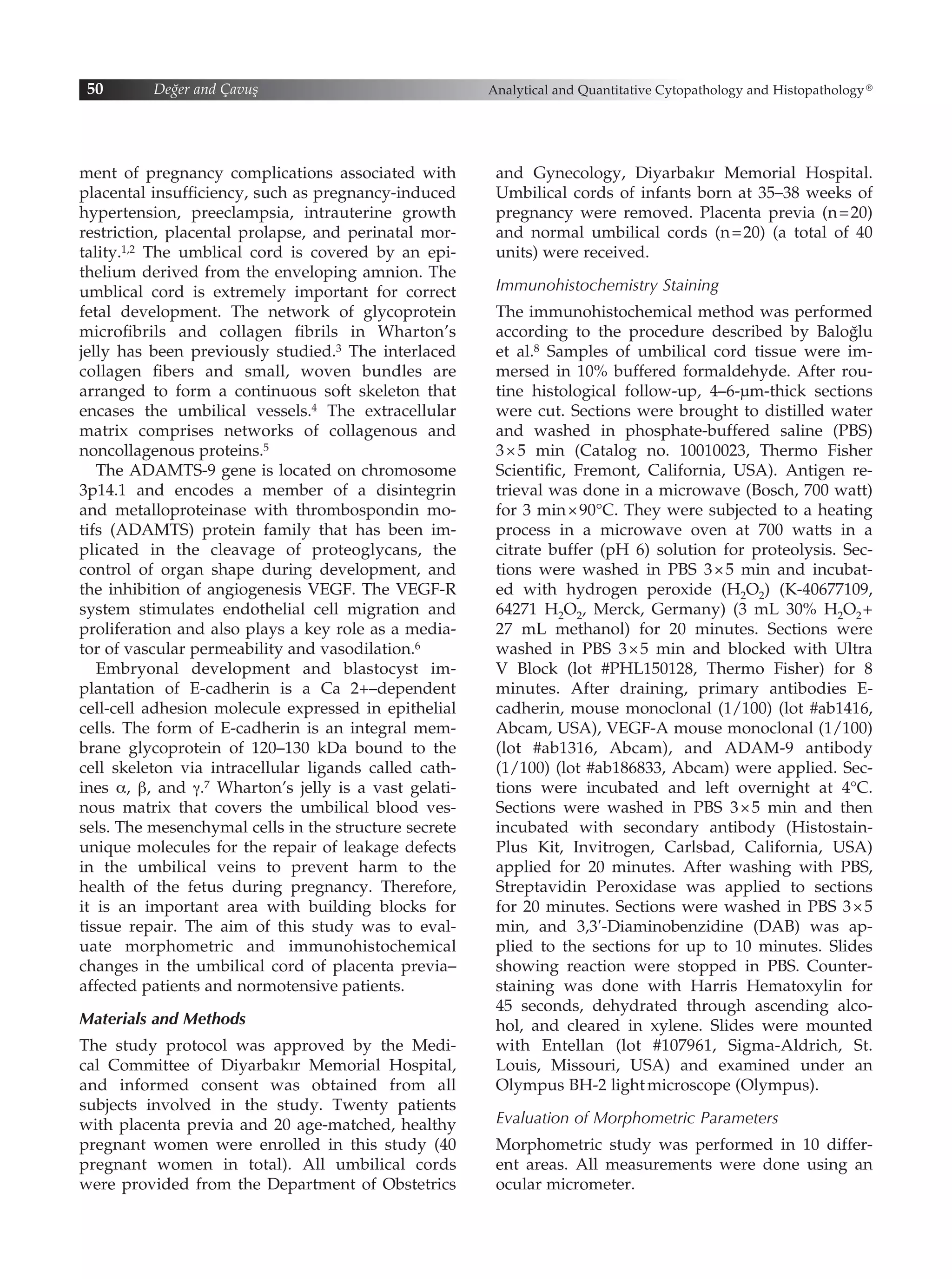 Morphometric and Immunohistochemical Examination of Changes in ...