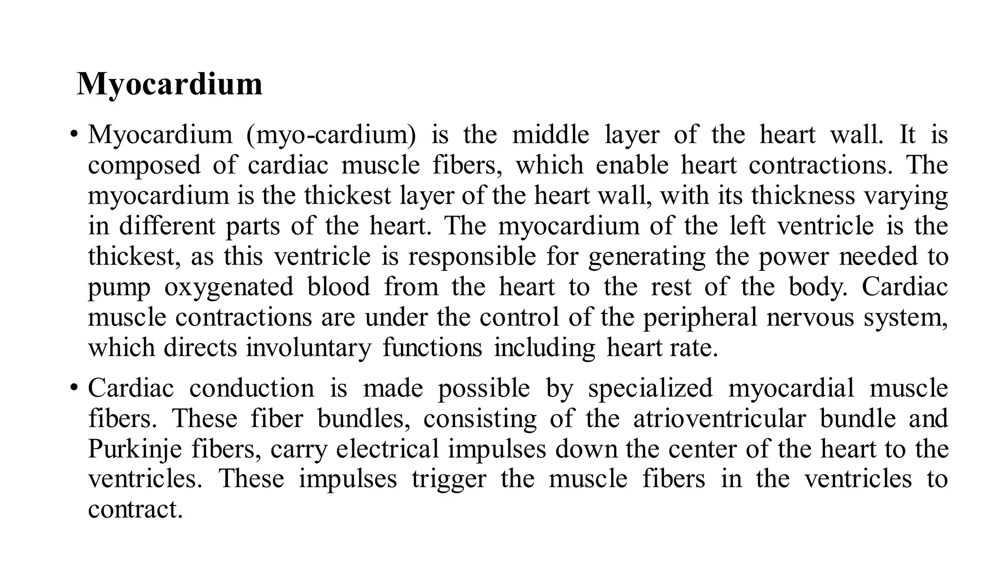 7. cardiovascular system | PDF