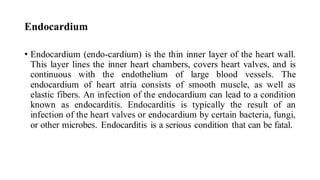 7. cardiovascular system | PDF