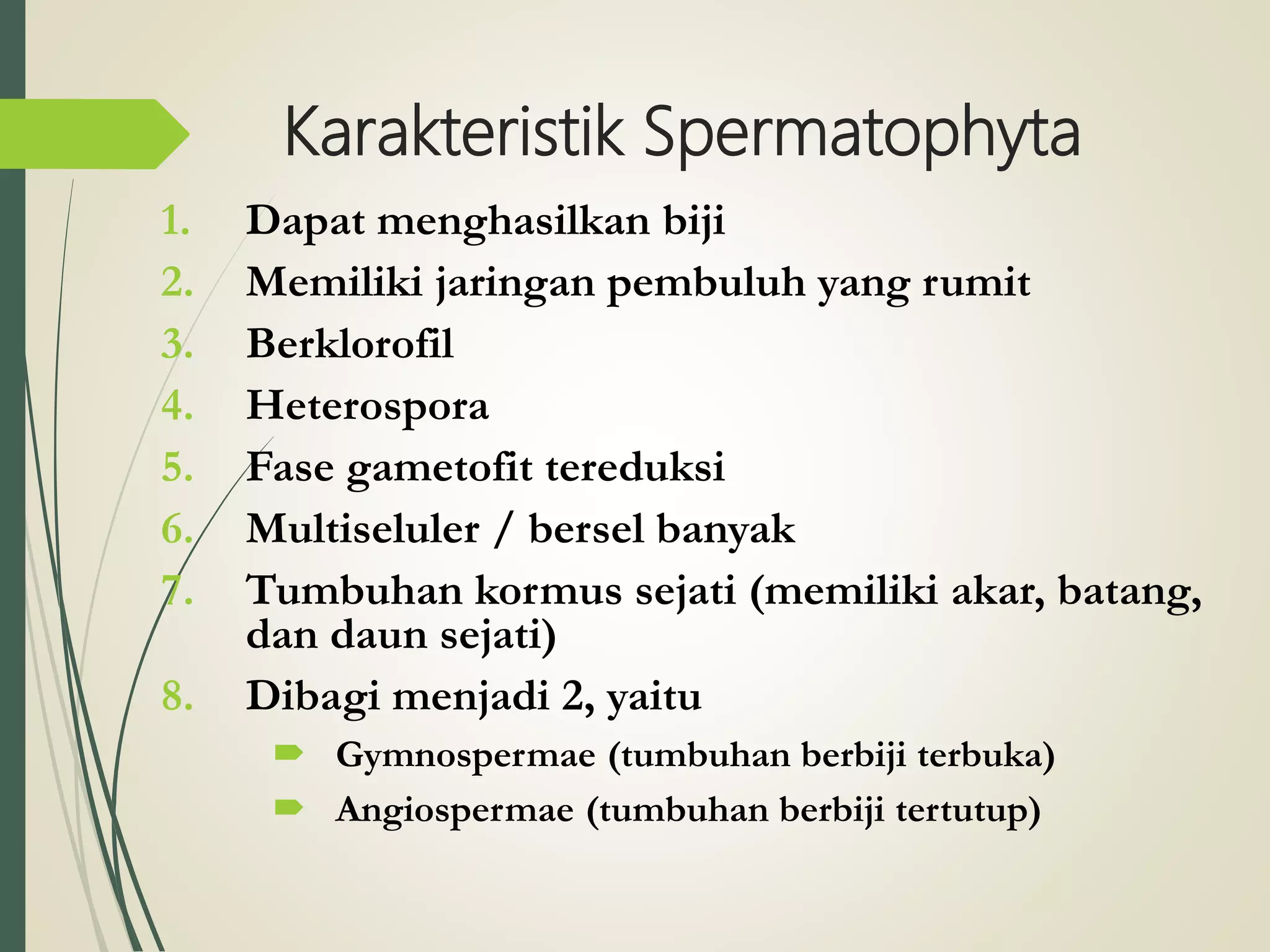 Spermatophyta: Ciri dan Klasifikasi | PPTX