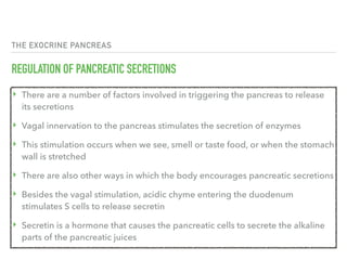 7. the pancreas | PPT