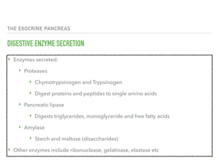 7. the pancreas | PPT