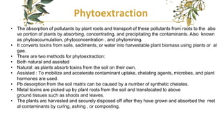Phytoremediation | PPTX