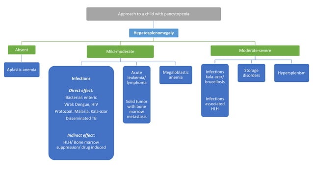 Approach to pancytopenia.pptx | Blood Disorders | Diseases and Conditions