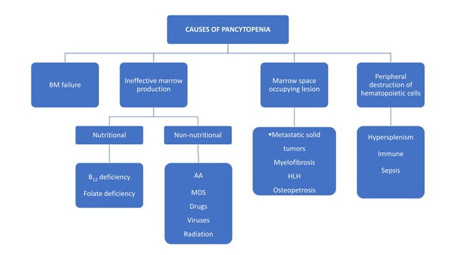 Approach to pancytopenia.pptx | Blood Disorders | Diseases and Conditions
